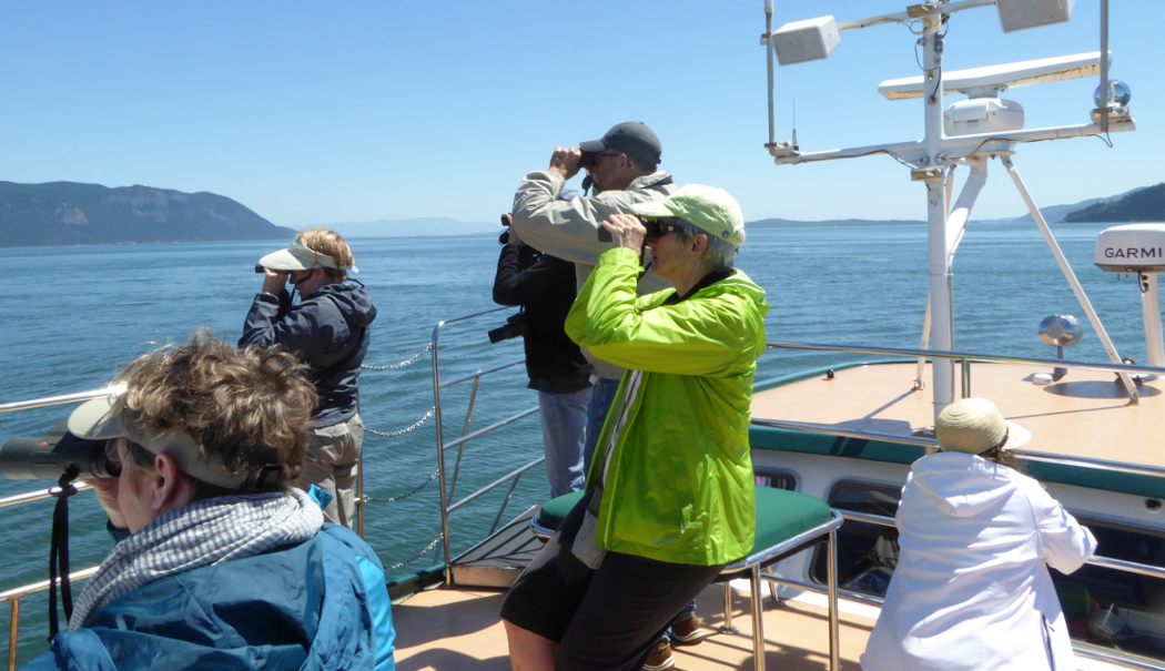 Bird Watching Cruise – San Juan Cruises