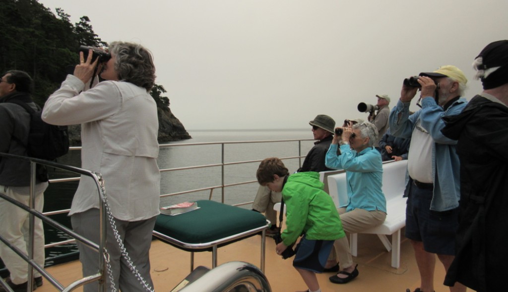 Bird Watching Cruise – San Juan Cruises